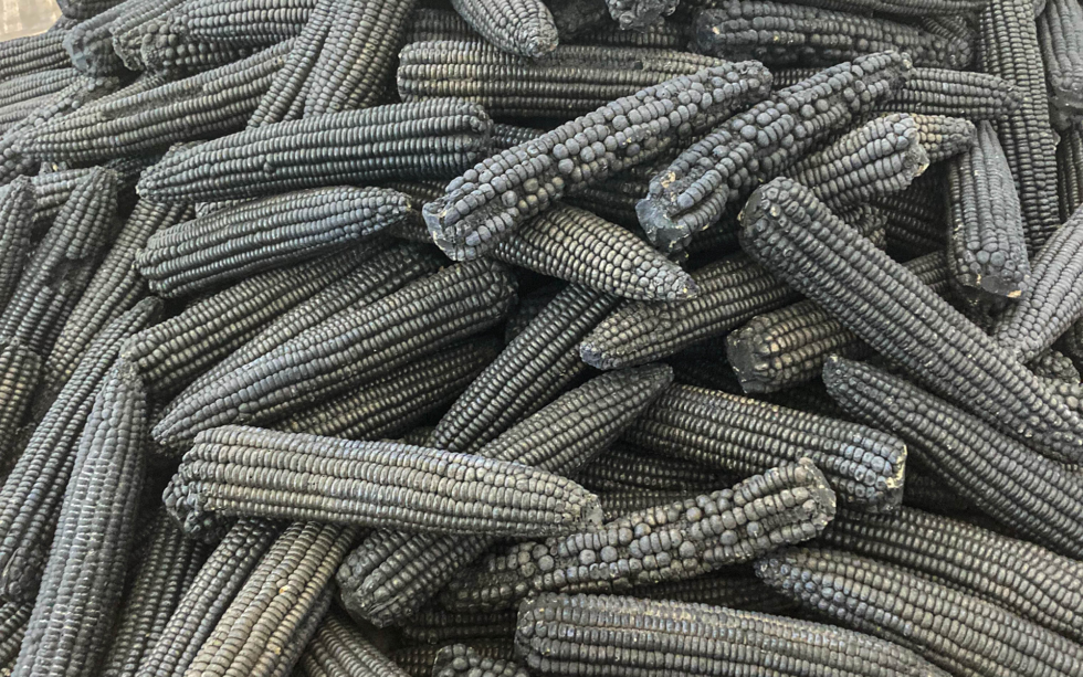 Exploring Mutable Forms of Earth with Blank Project’s latest exhibition ...