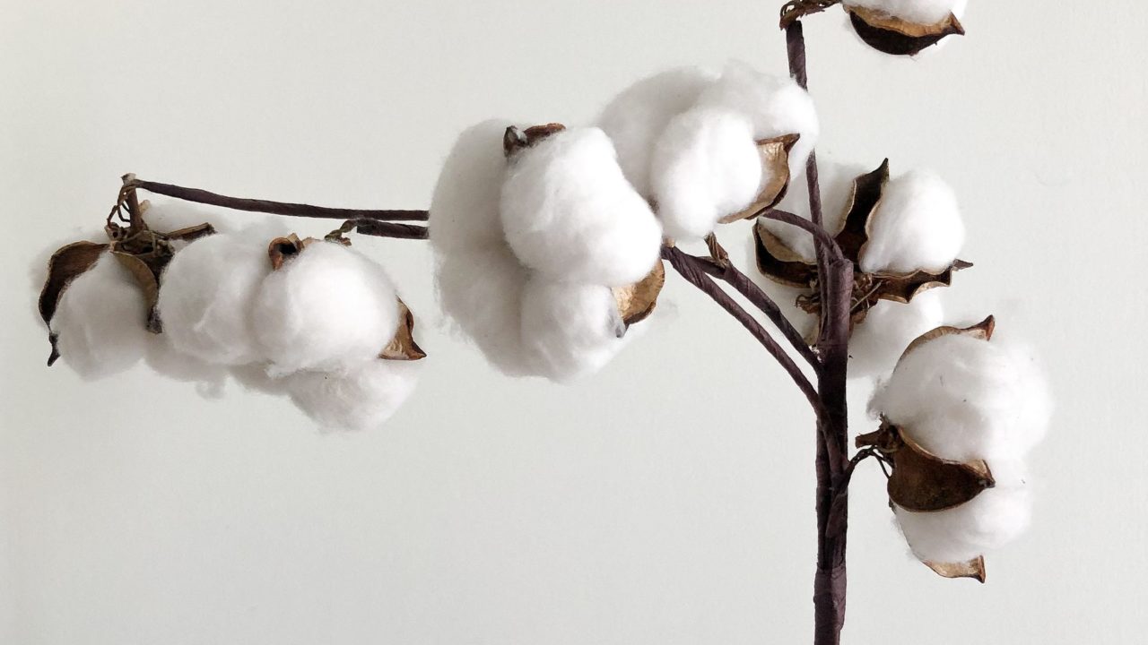 Chapter 19 | South Africa’s ecosystem of textiles, fabrics and fibres - CEC