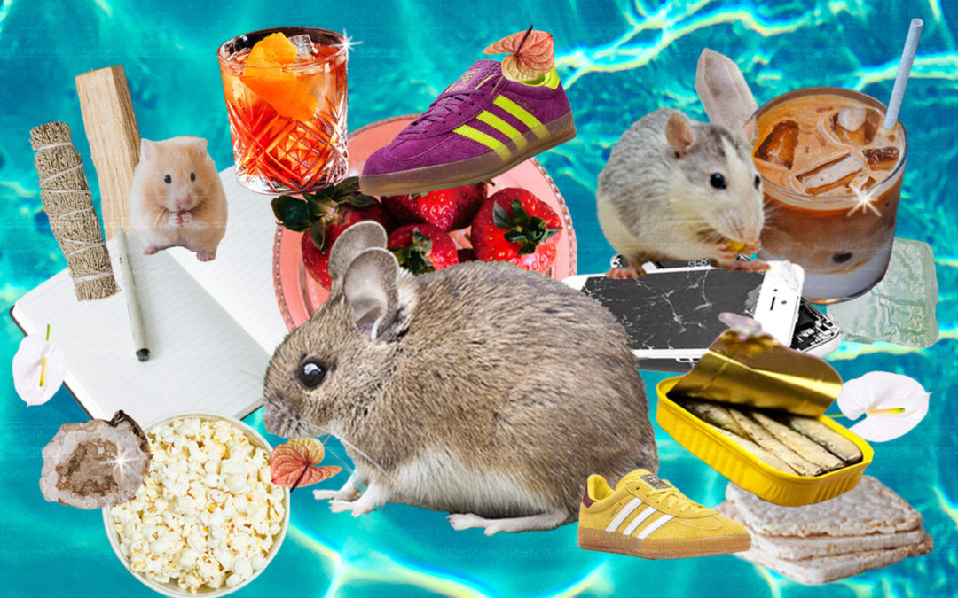 ‘Every Generation Has Rebelled’ - looking at Baby Boomers, Gen X ...